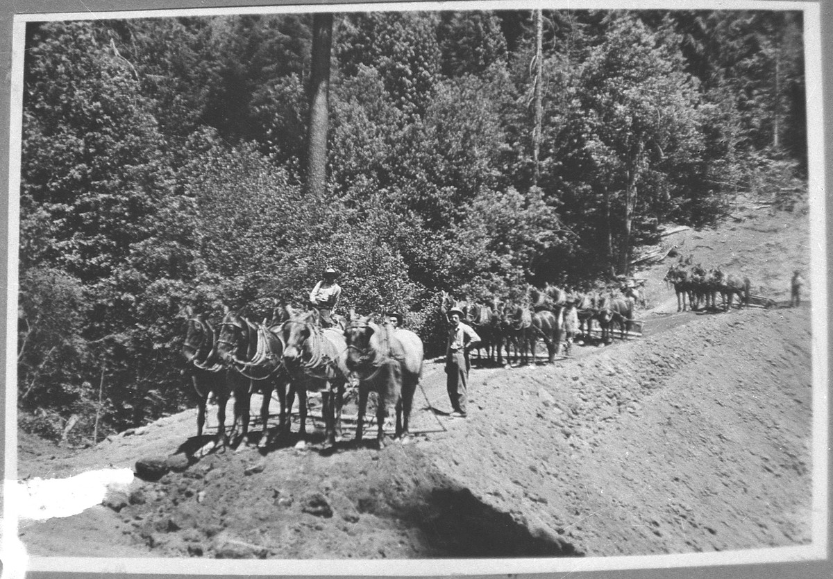 History Timeline | Downtown Chico, CA