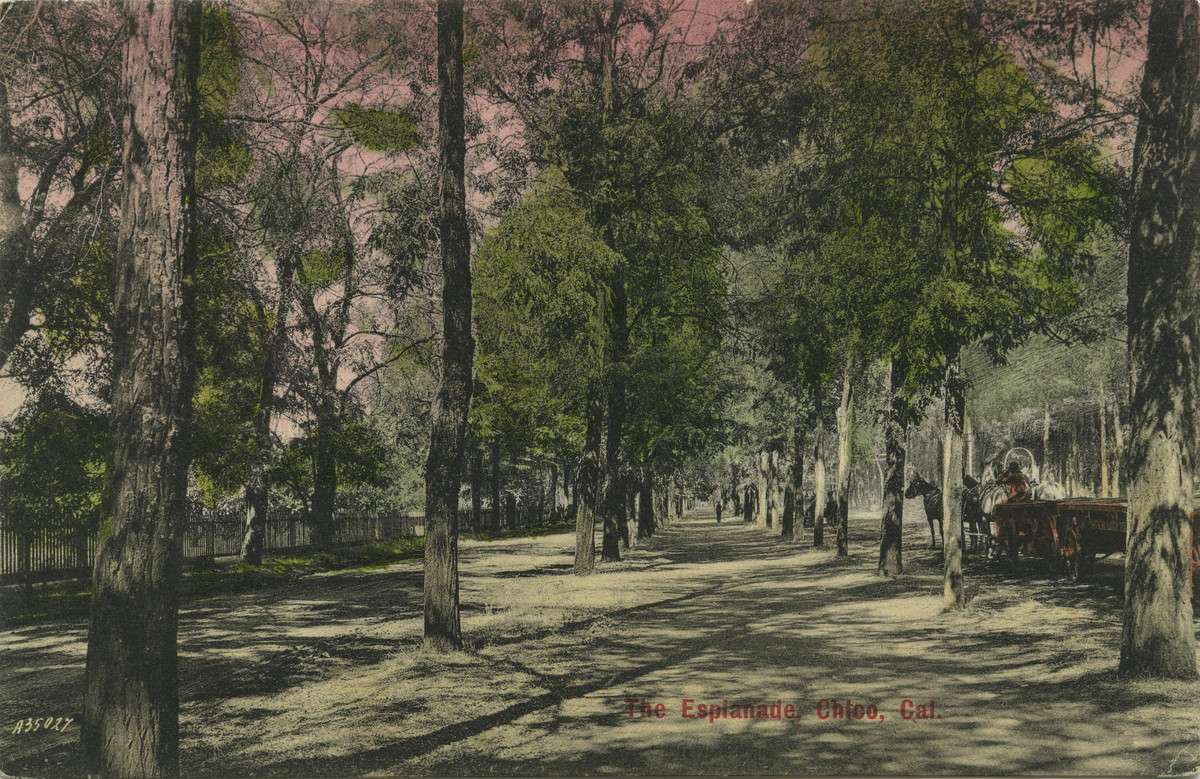 History Timeline | Downtown Chico, CA
