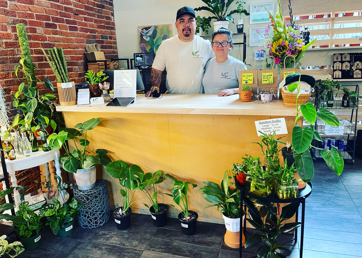 Vangs Plants and Succulents Hub | Photos | Shopping | Home & Garden ...